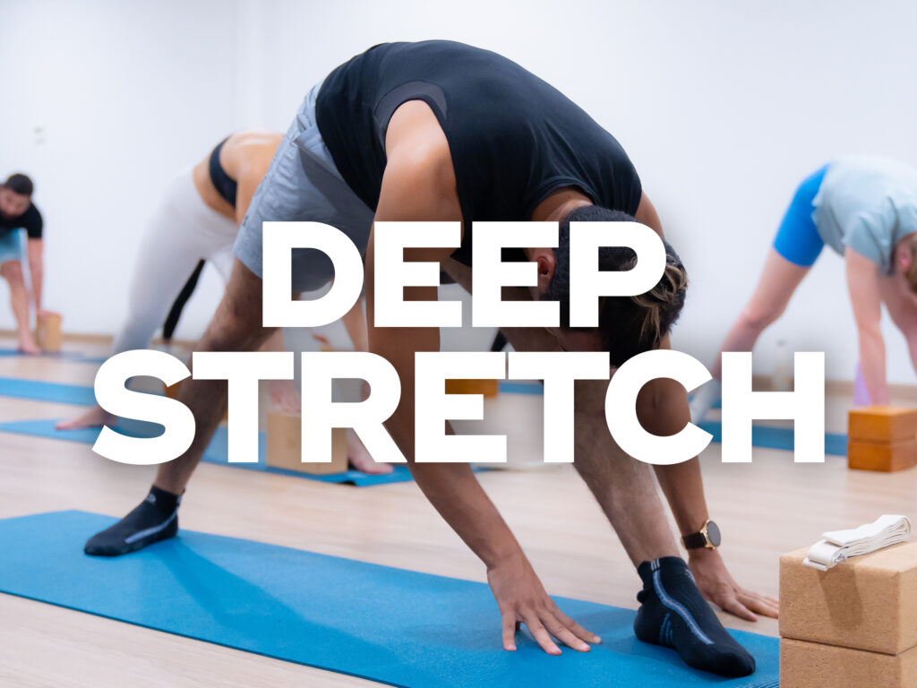 Energy Camp | Dubai’s Leading Fitness Hub & Active elite Lifestyle ...